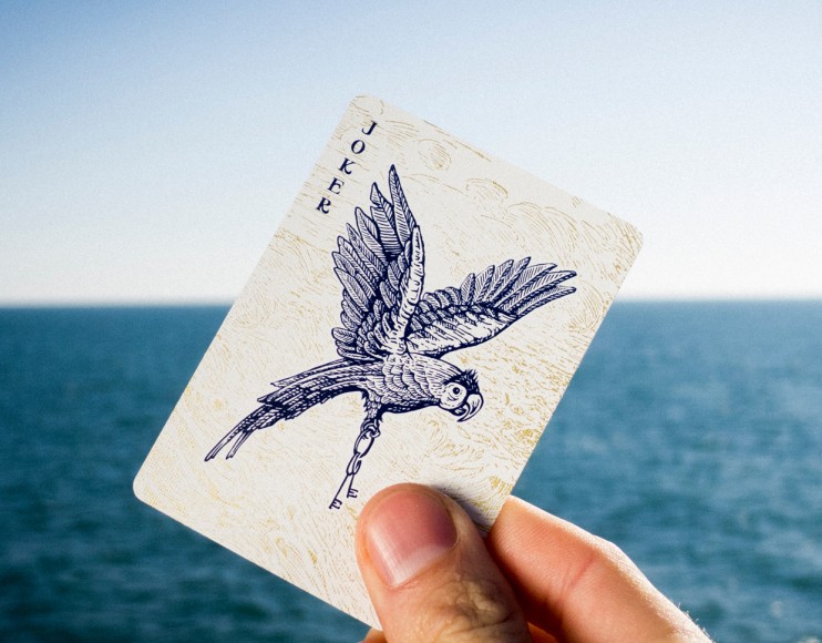 HMNIM Playing Cards | The Coolector