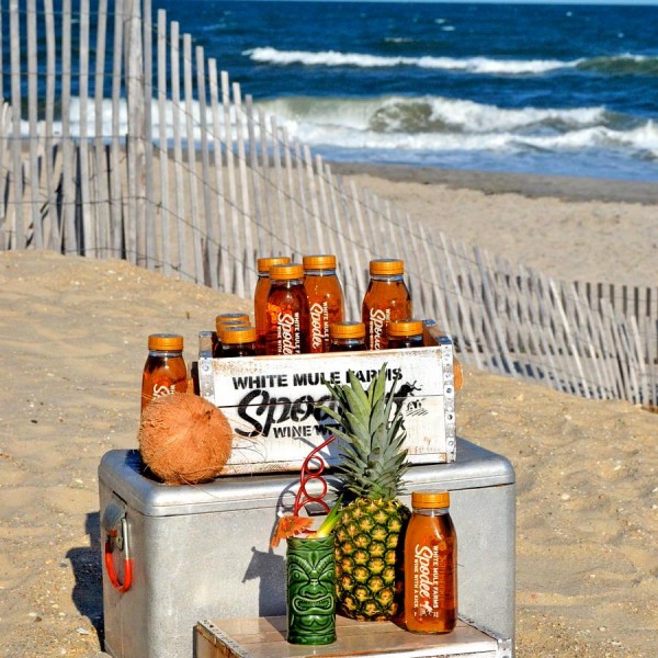 Spodee Wine | The Coolector