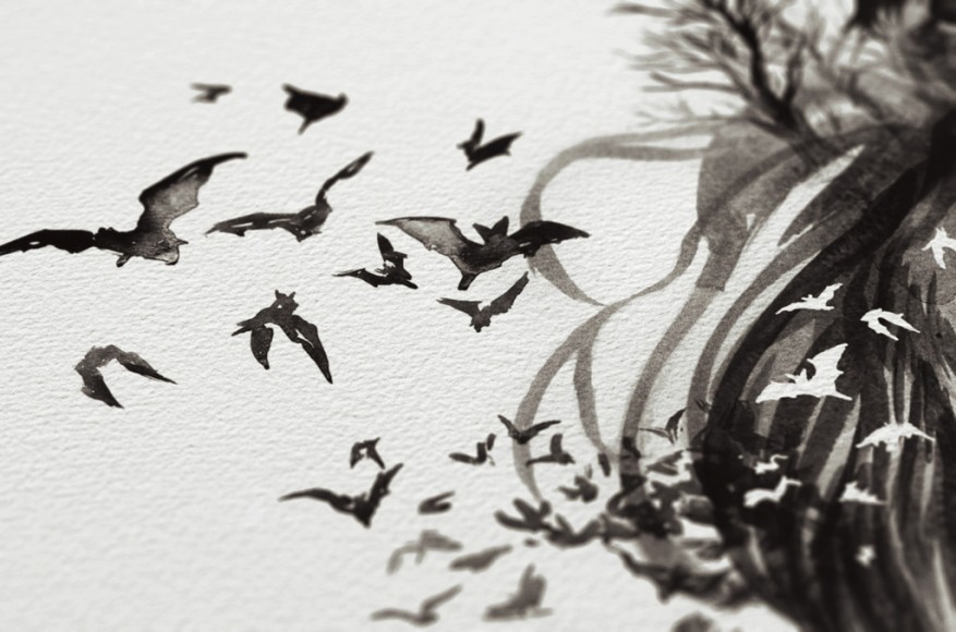 Stellavie Movie Director Prints | The Coolector