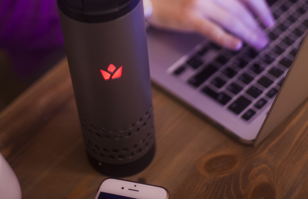 Yecup 365 | The Coolector