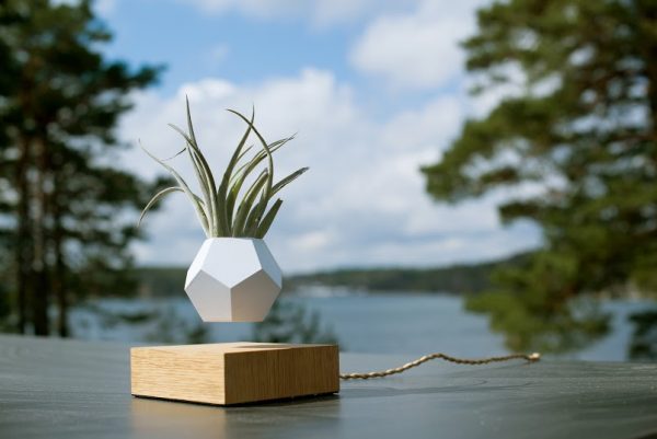 LYFE Levitating Planter | The Coolector