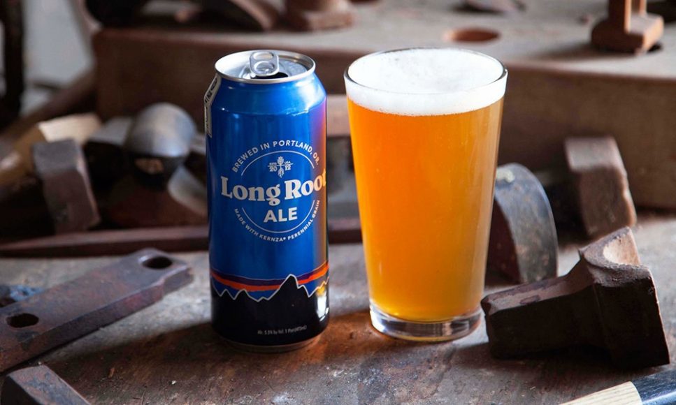 Patagonia Provisions Long Root Ale | The Coolector