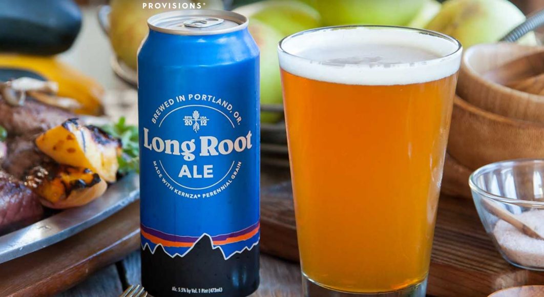 Patagonia Provisions Long Root Ale | The Coolector