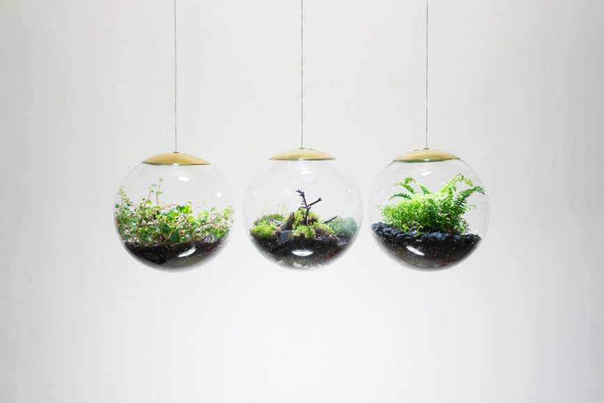 Globe LED Terrarium | The Coolector