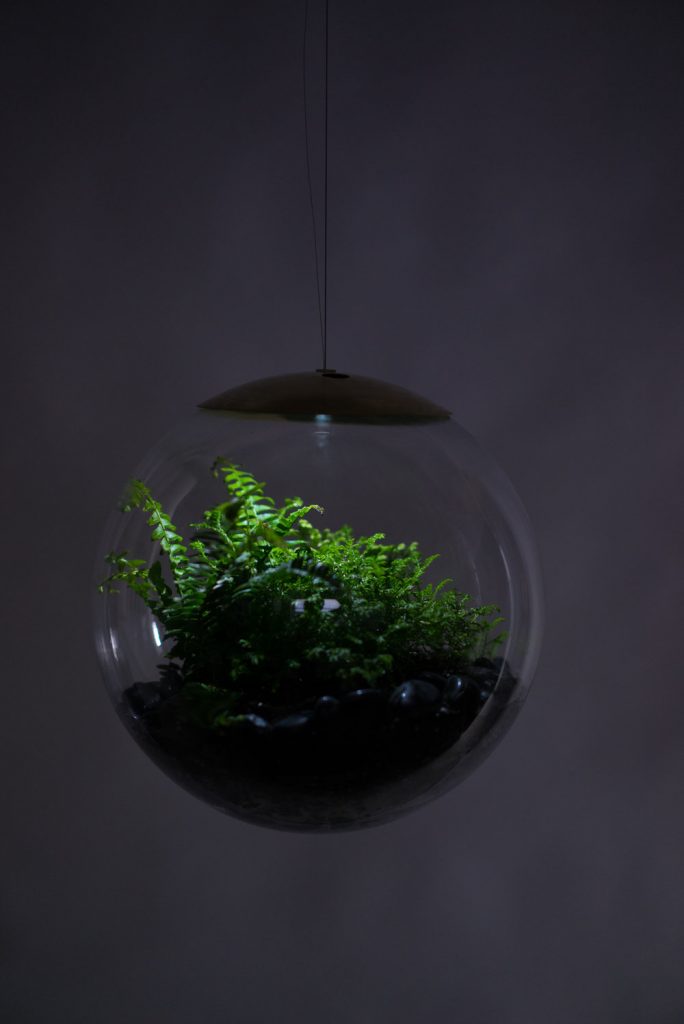Globe LED Terrarium | The Coolector