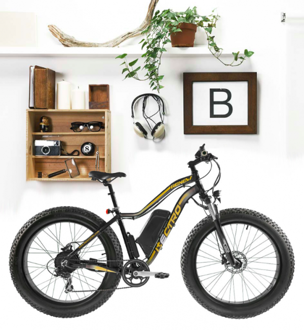 LECTRO Electric Bikes | The Coolector