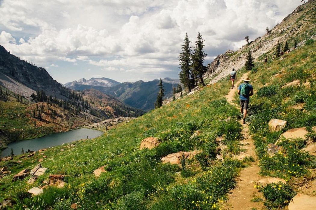 Bramble Outdoor Camp Towels & Daypacks | The Coolector