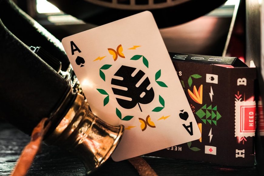 Theory 11 x Howler Bros Playing Cards | The Coolector