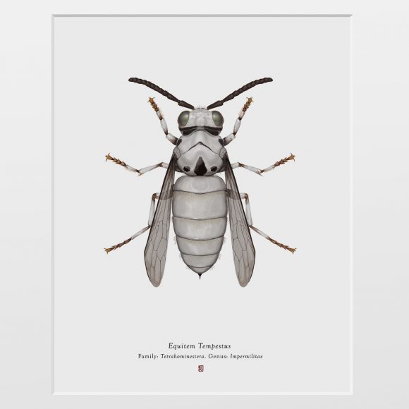 Star Wars Insects Prints | The Coolector