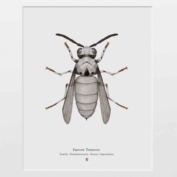 Star Wars Insects Prints | The Coolector