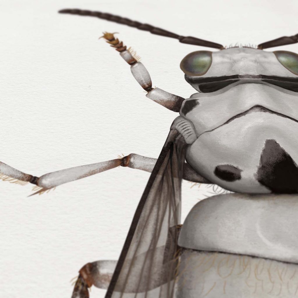 Star Wars Insects Prints | The Coolector