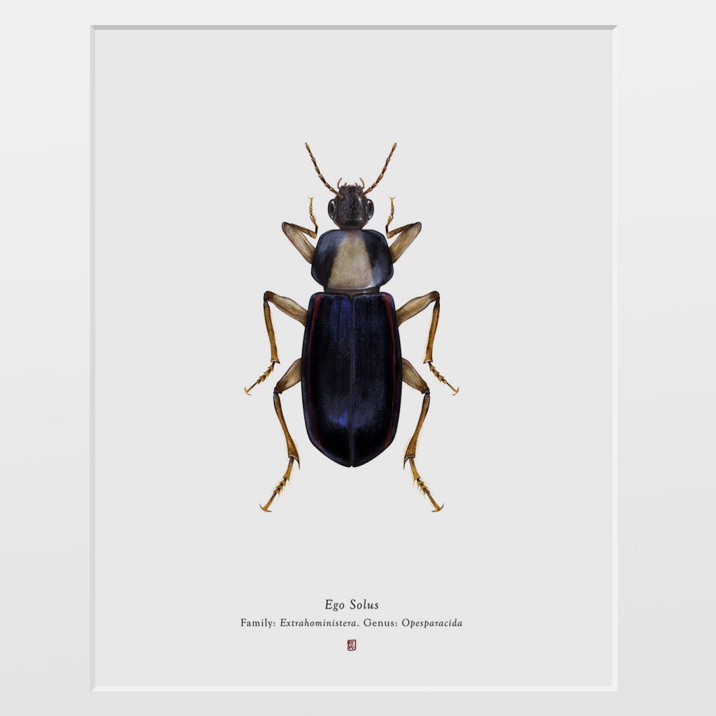Star Wars Insects Prints | The Coolector