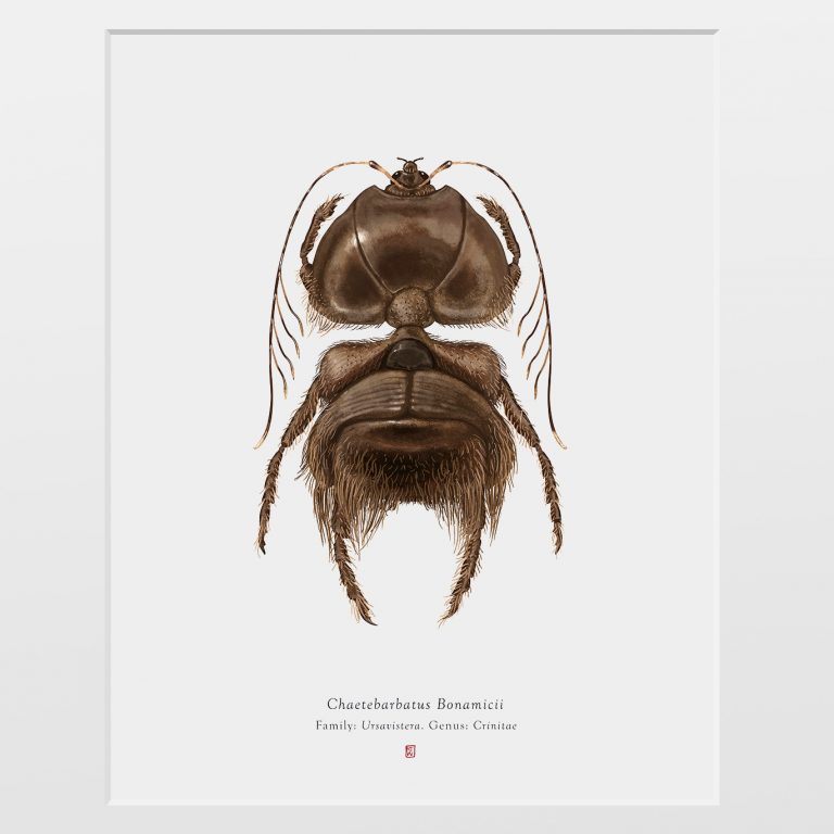 Star Wars Insects Prints | The Coolector