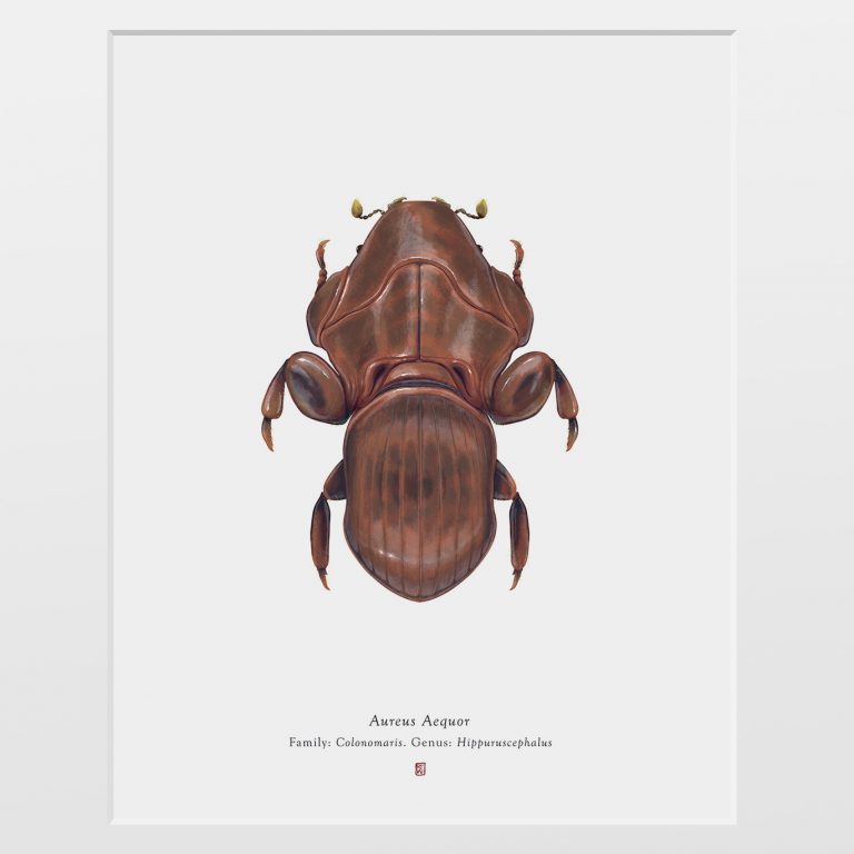 Star Wars Insects Prints | The Coolector