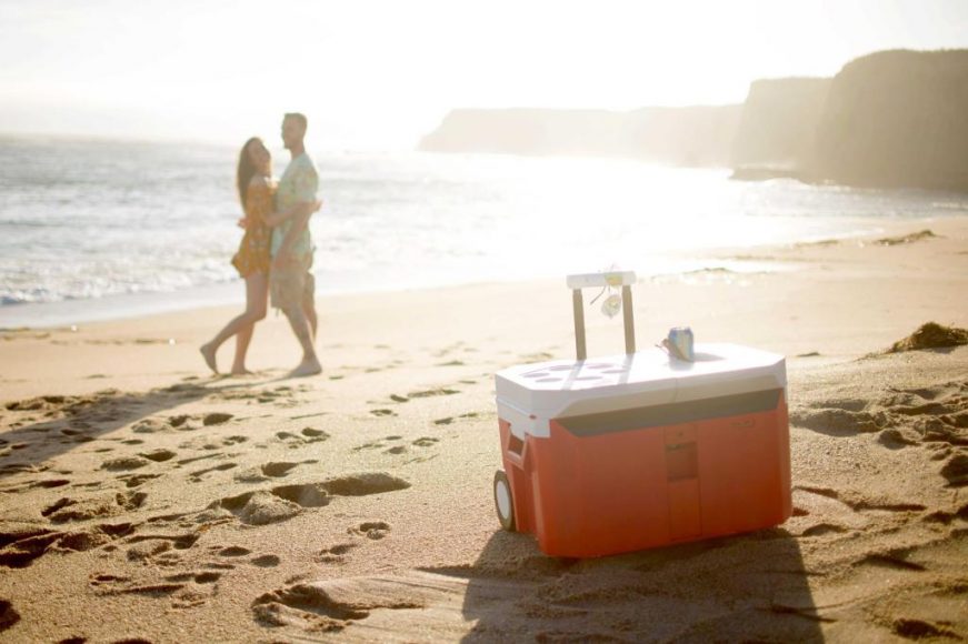 INFINITE Smart Cooler | The Coolector