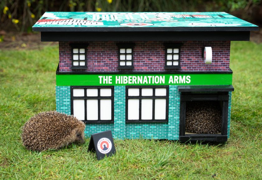 Camden Town Brewery Hibernation Lager Hedgehog Pub | The Coolector