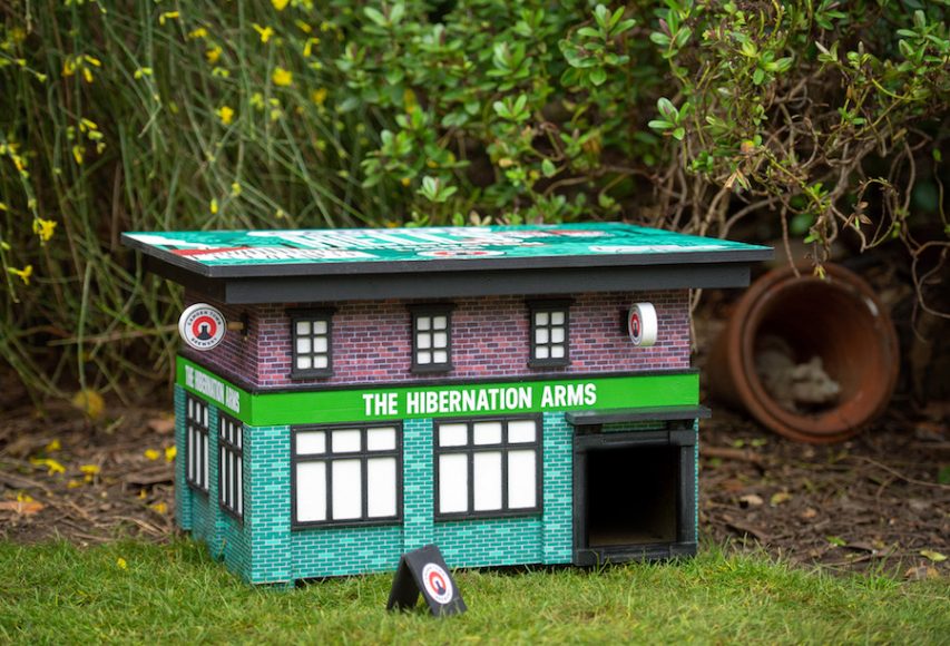 Camden Town Brewery Hibernation Lager Hedgehog Pub | The Coolector