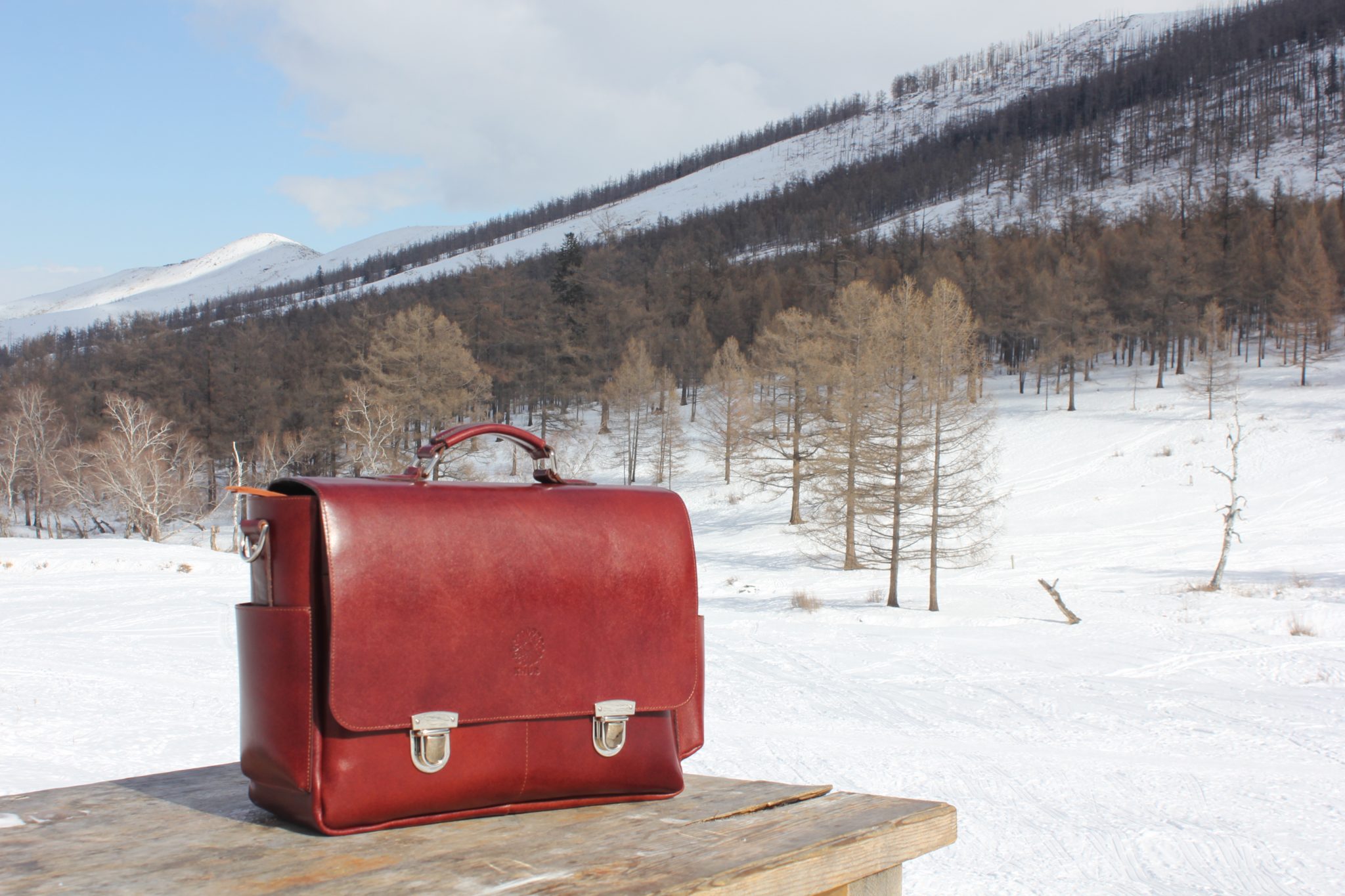SARLAG Leather Messenger Bag | The Coolector