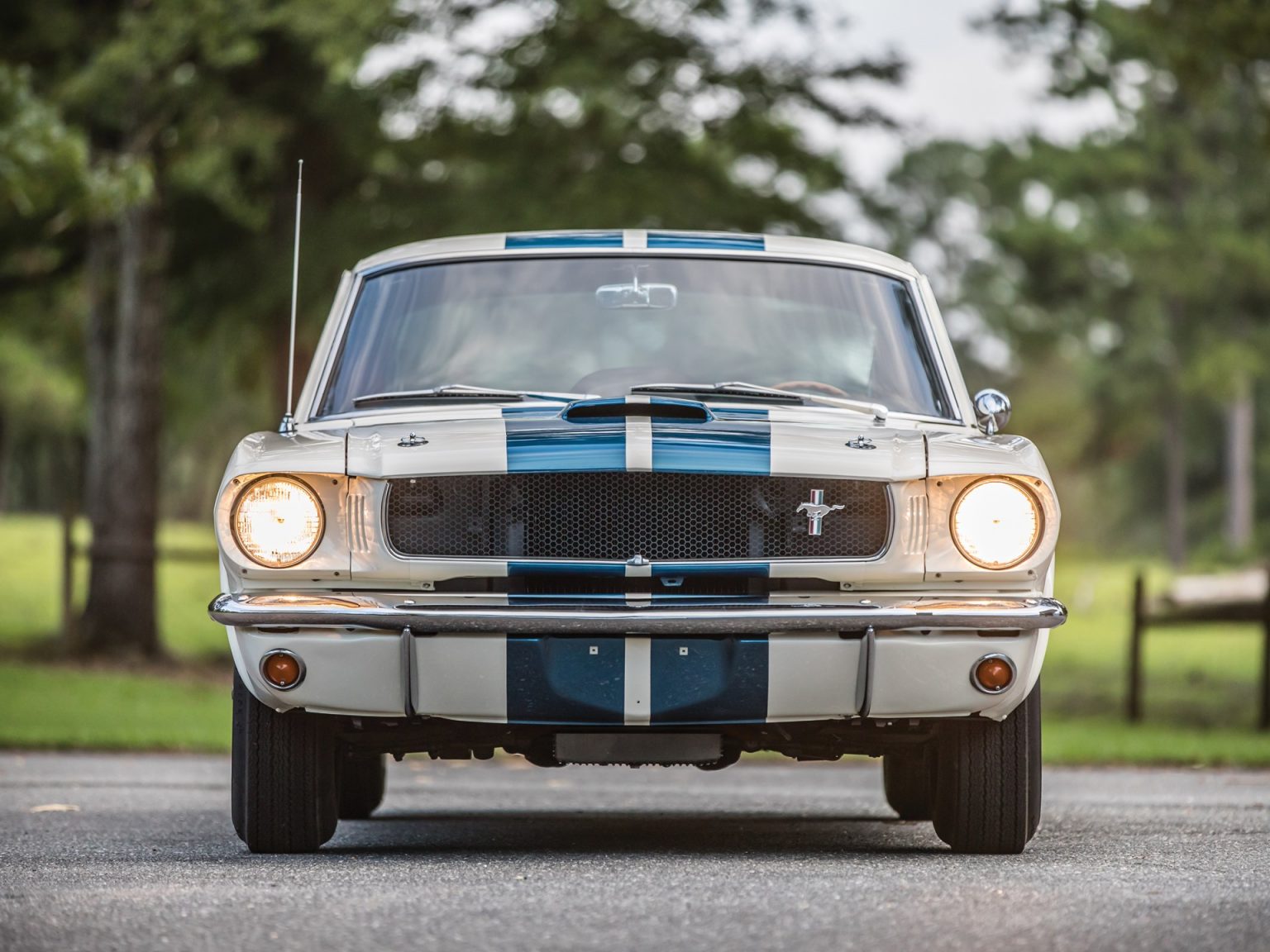 1965 Shelby GT350 | The Coolector