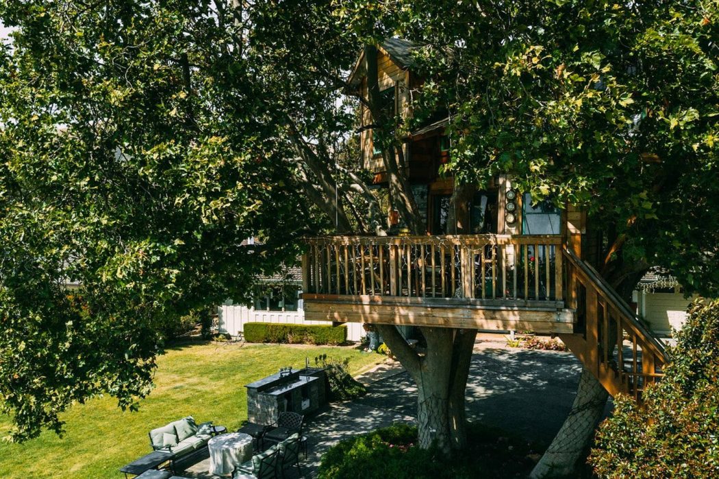 8 of the Best Airbnb Treehouses | The Coolector