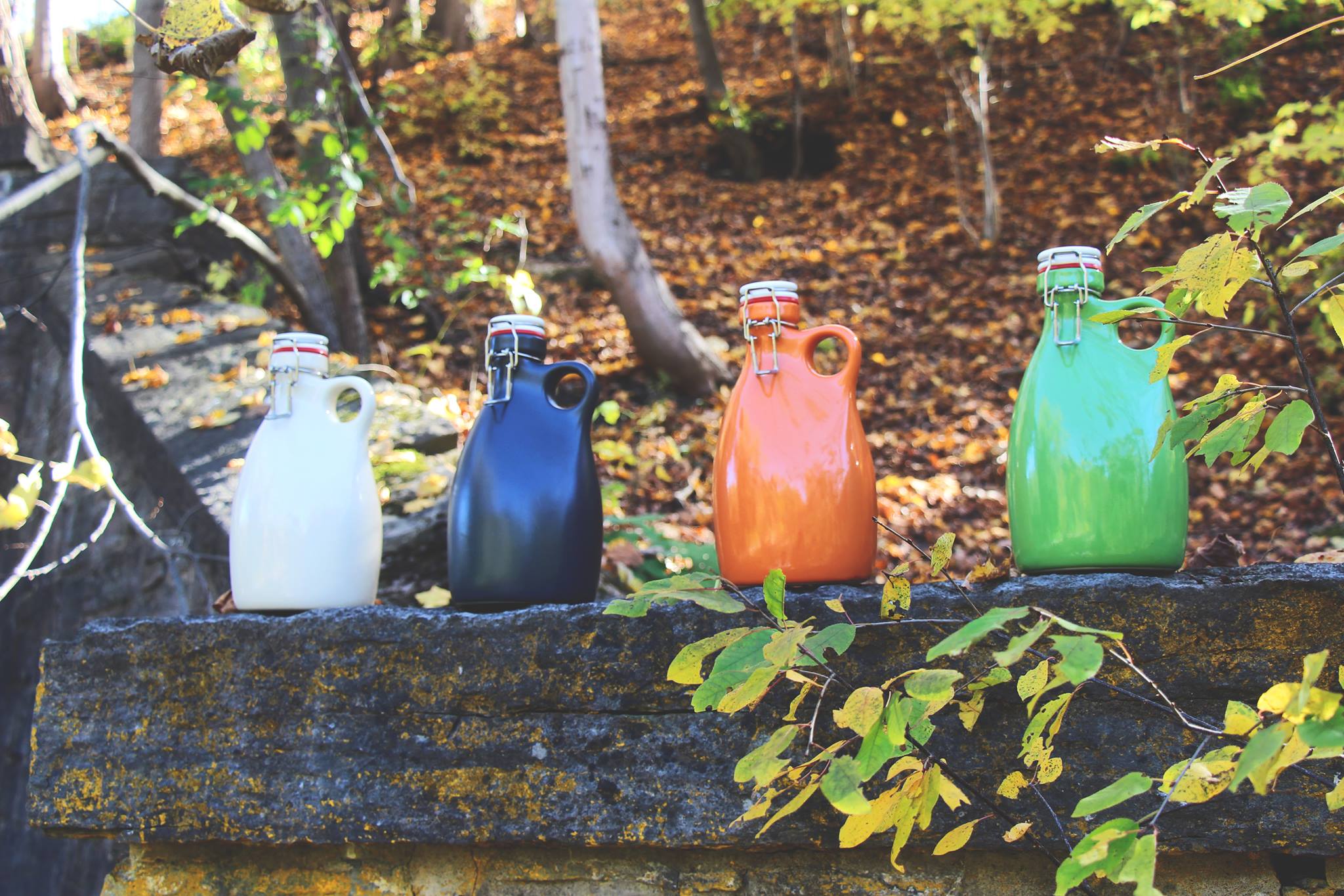5 of the Best Growlers for Craft Beer Fans | The Coolector