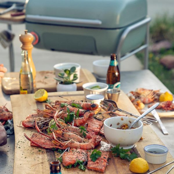 Spark Grill | The Coolector