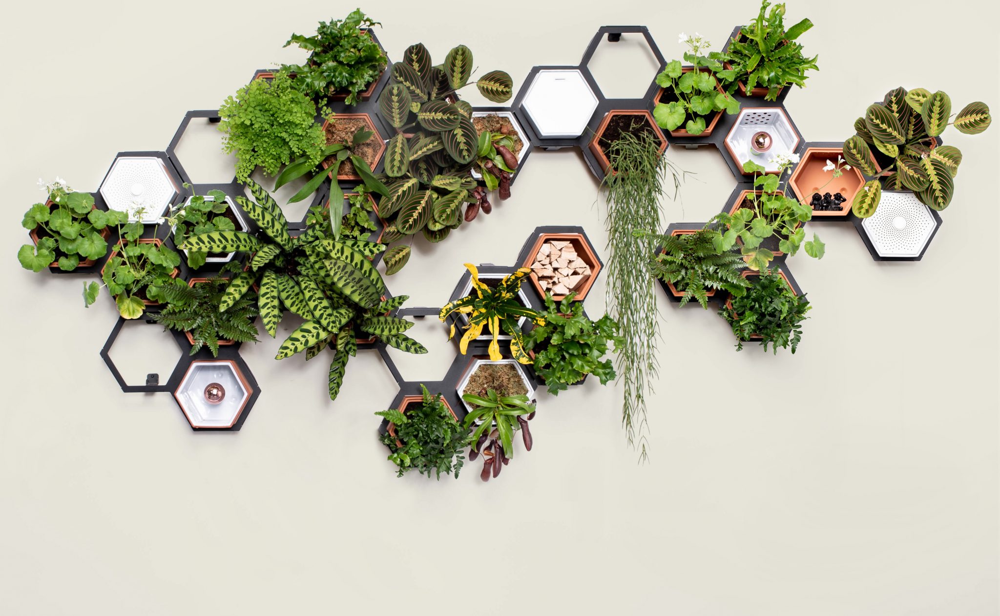 Horticus Modular Living Wall | The Coolector