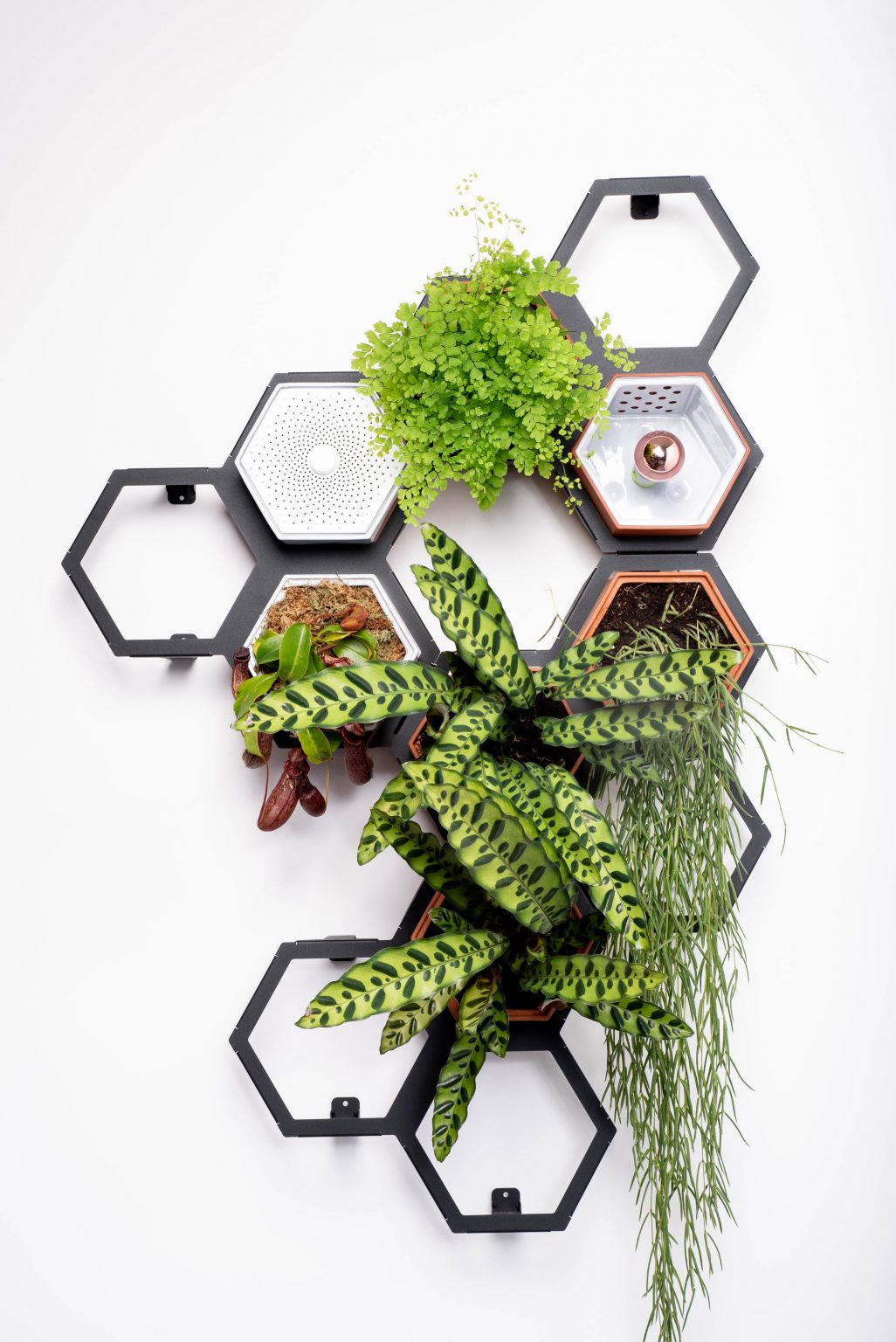 Horticus Modular Living Wall | The Coolector