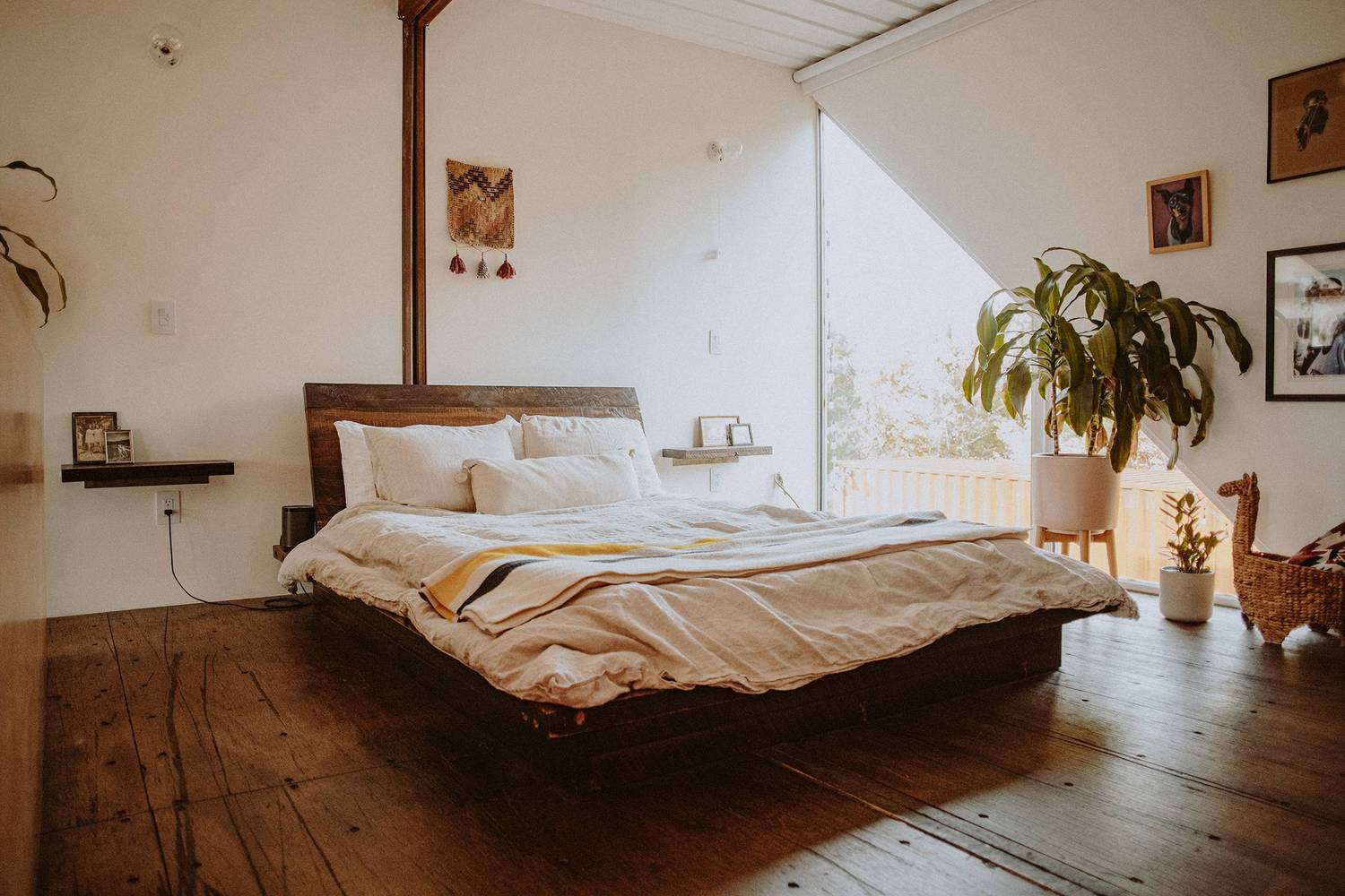C-Home | The Coolector