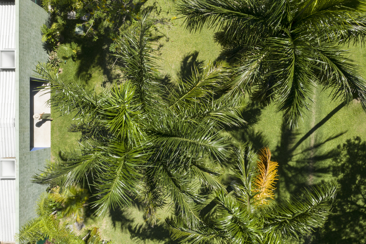 Patropi House | The Coolector