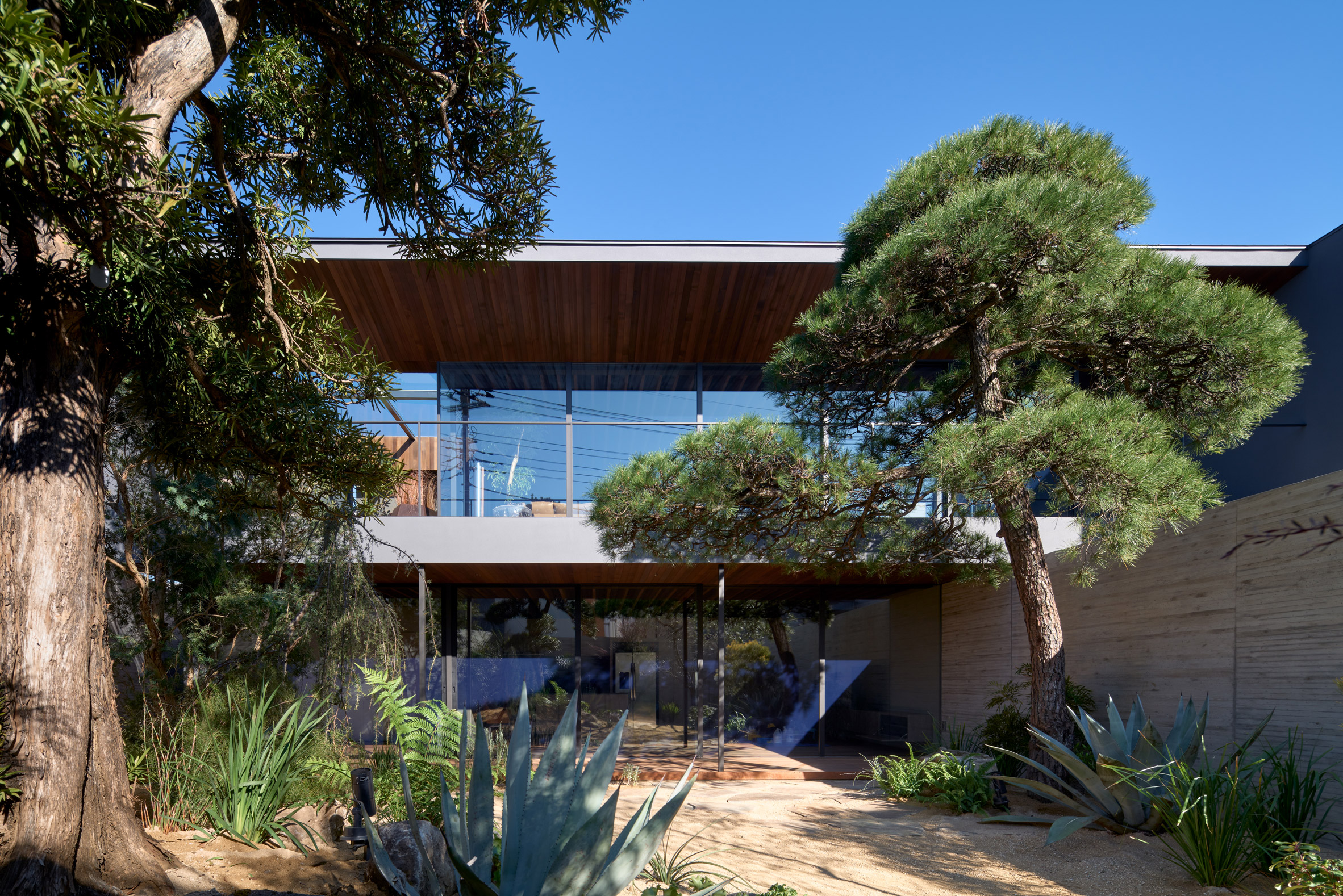 Noble House | The Coolector