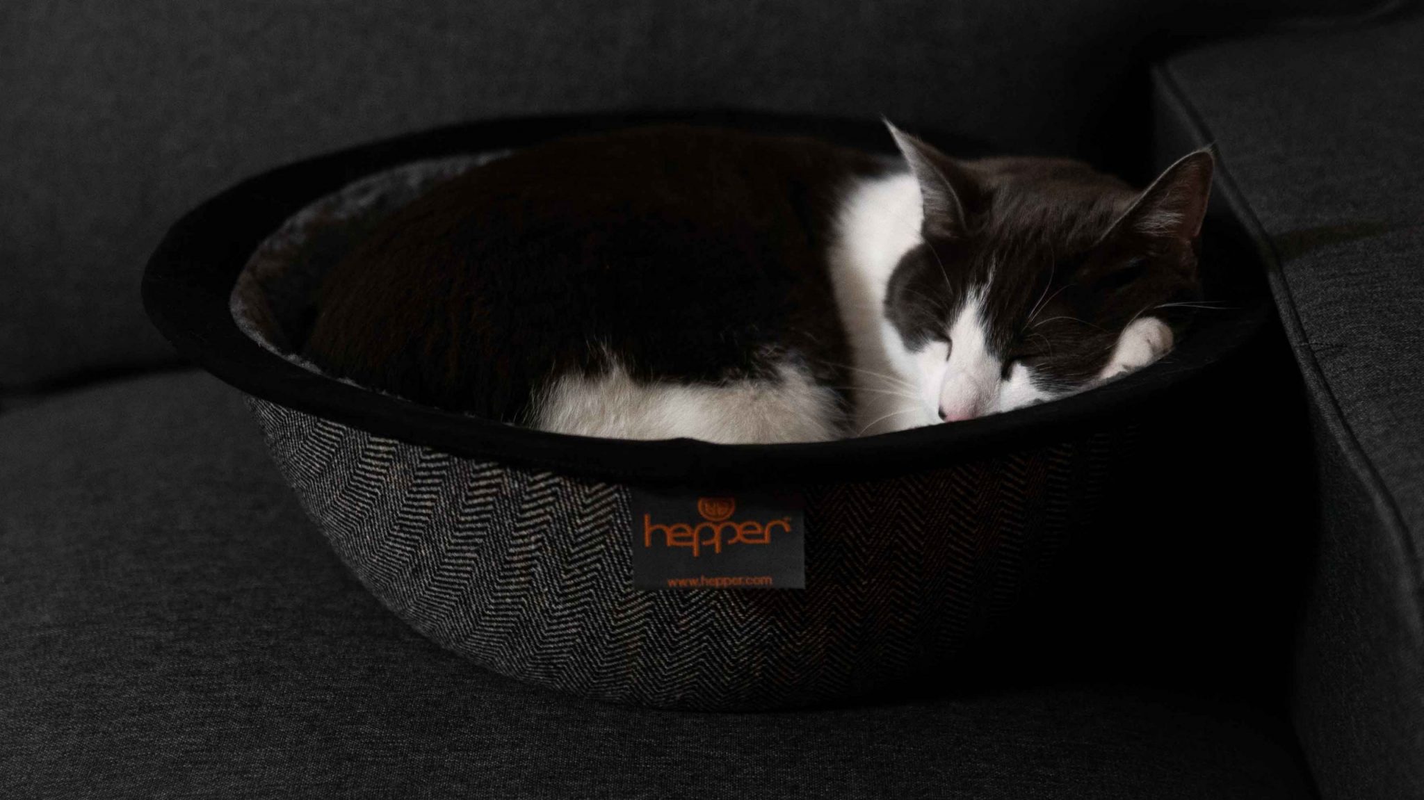Hepper Cat Furniture | The Coolector