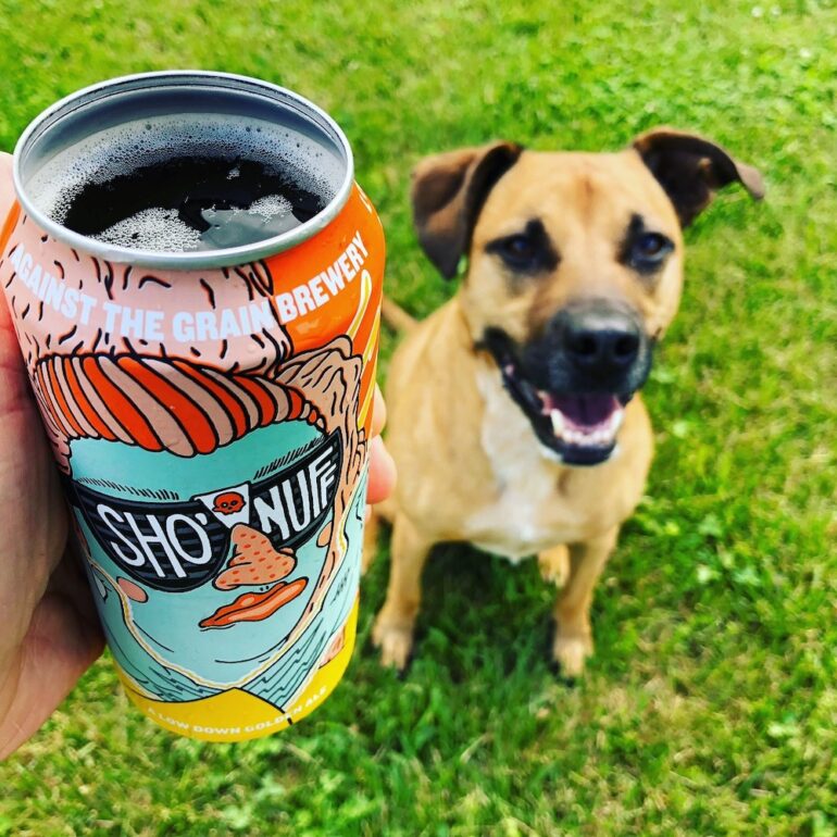 Draft Top® 2.0 | The Coolector