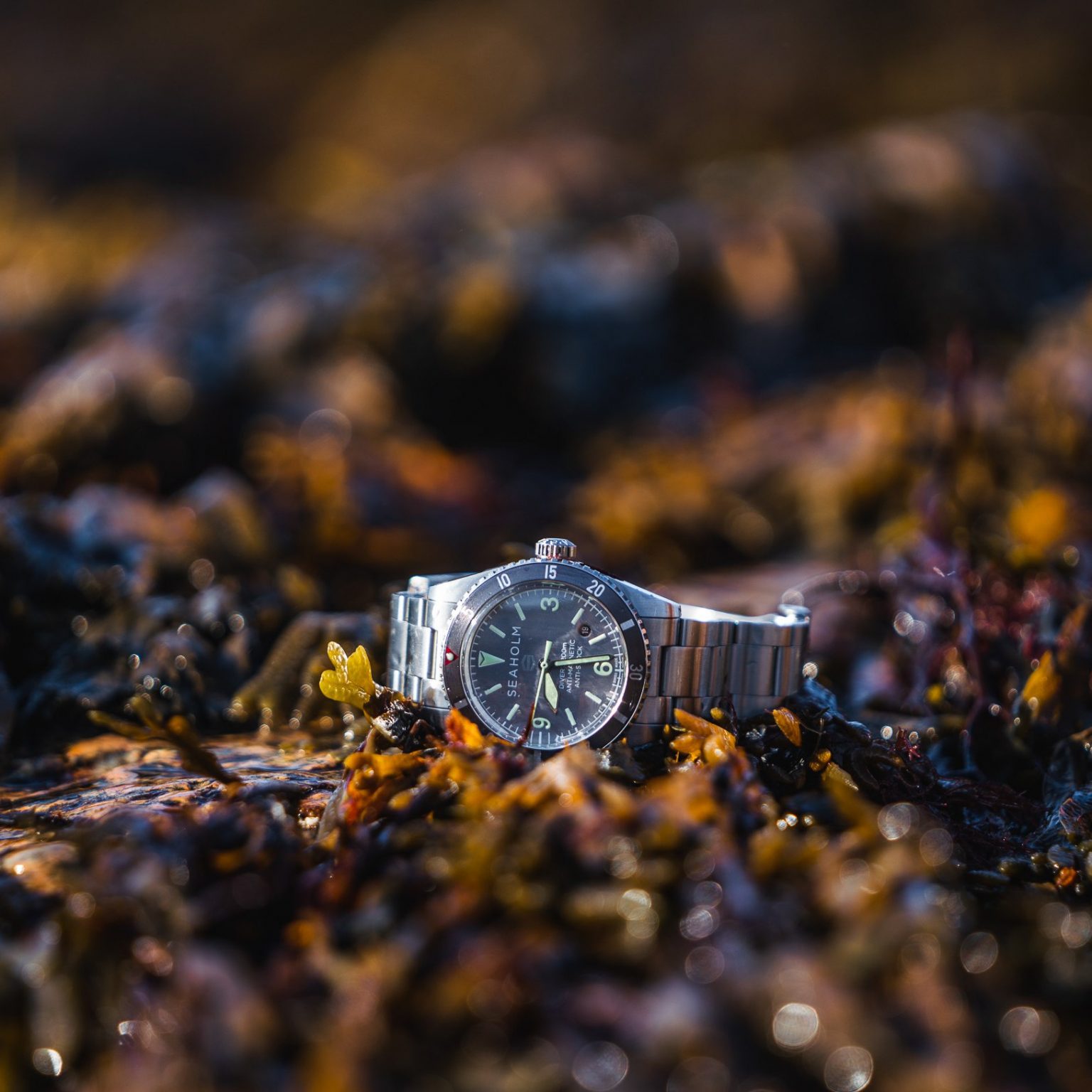 Seaholm Offshore Dive Watch | The Coolector