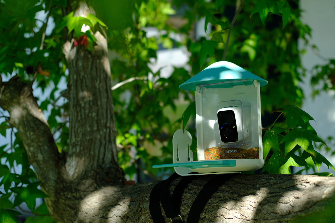 Birdfy AI Recognition Bird Feeder Camera | The Coolector