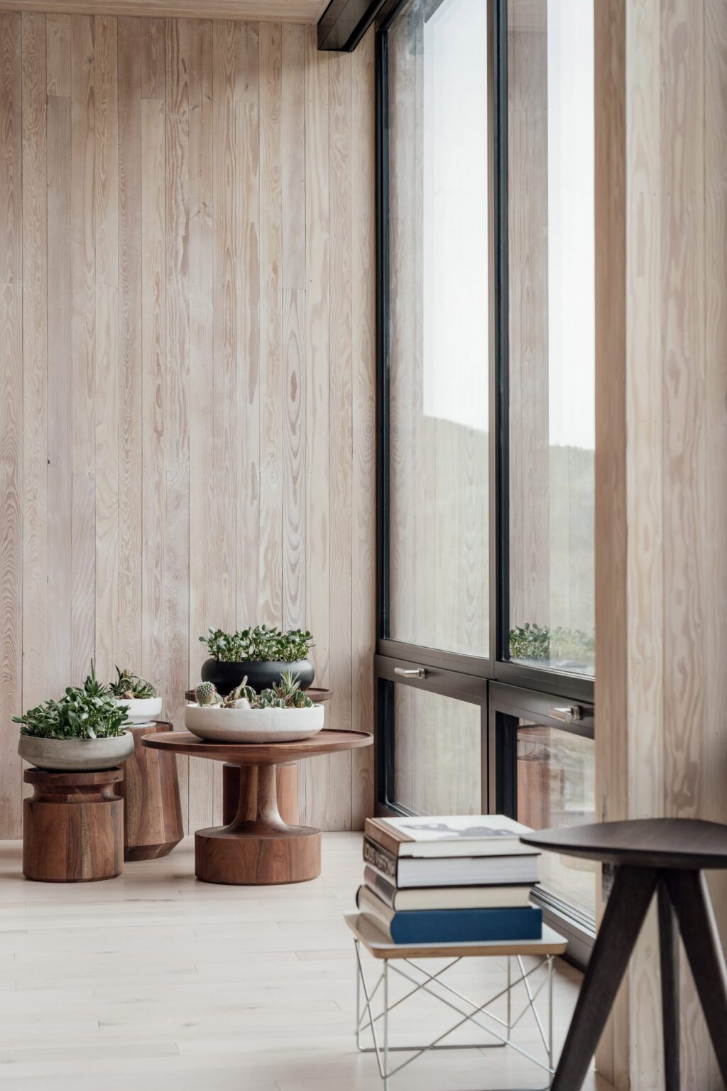 Maple Haus | The Coolector