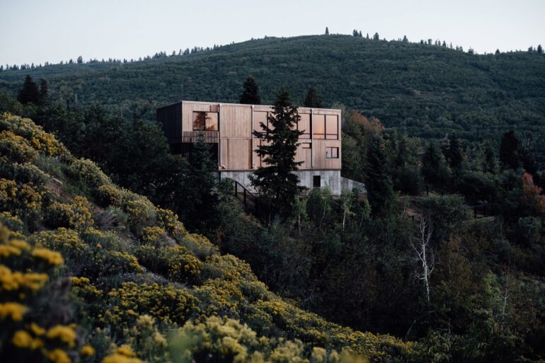Maple Haus | The Coolector