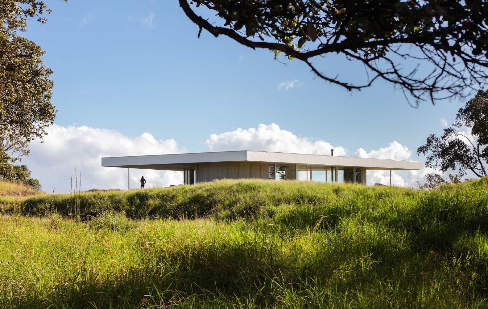 Musubi House | The Coolector