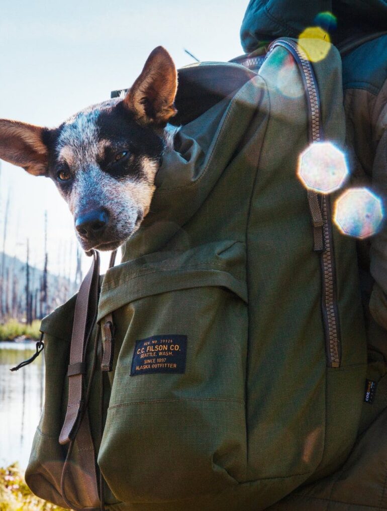 10 of the most wilderness ready bags from Filson | The Coolector