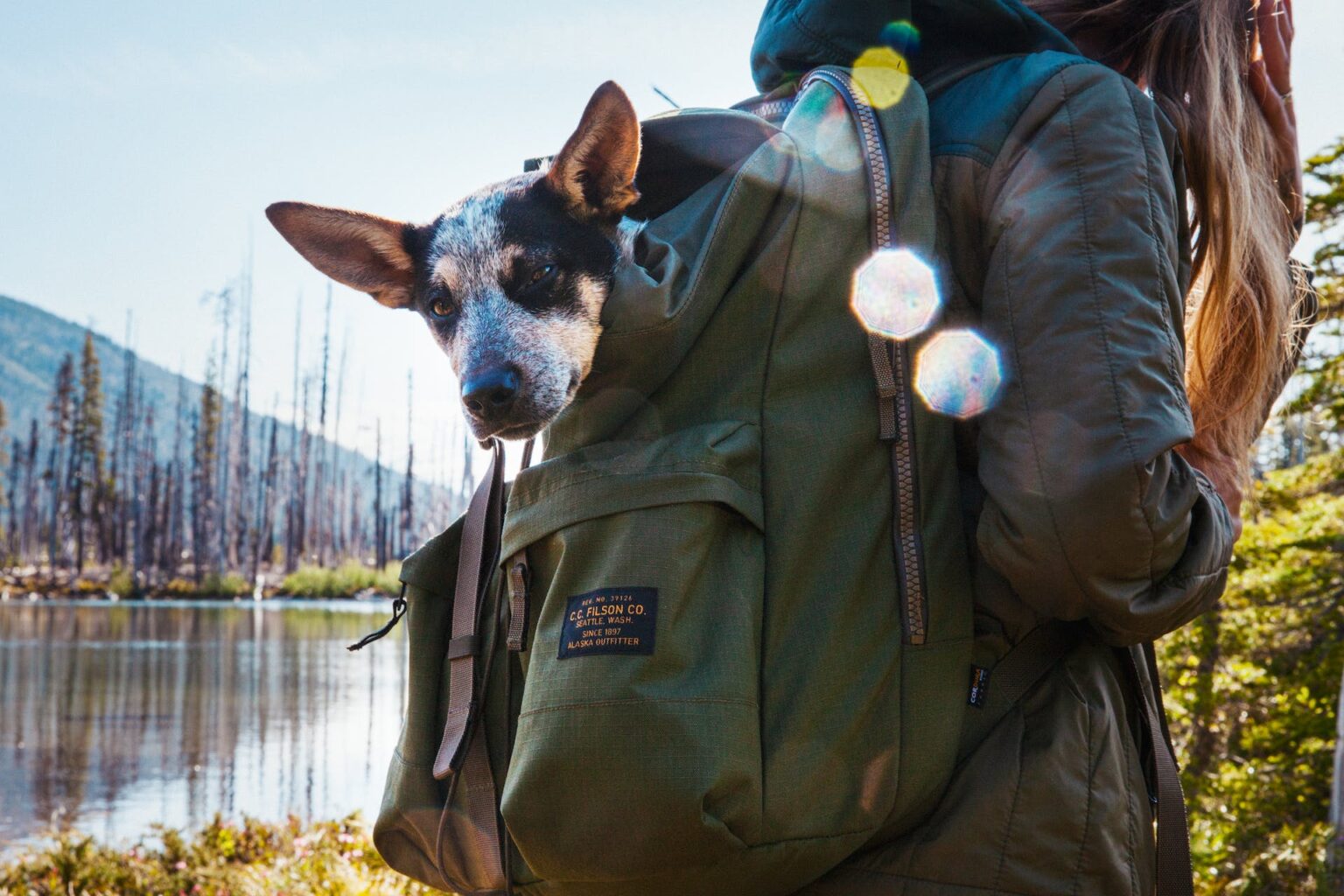 8 Wilderness Ready Backpacks from Filson | The Coolector