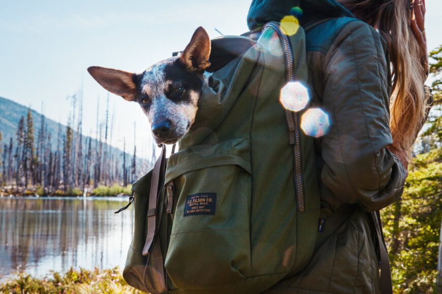 8 Wilderness Ready Backpacks from Filson | The Coolector