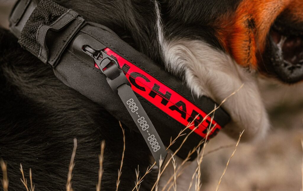 Uncharted Supply Co Wolf Pack Collar | The Coolector