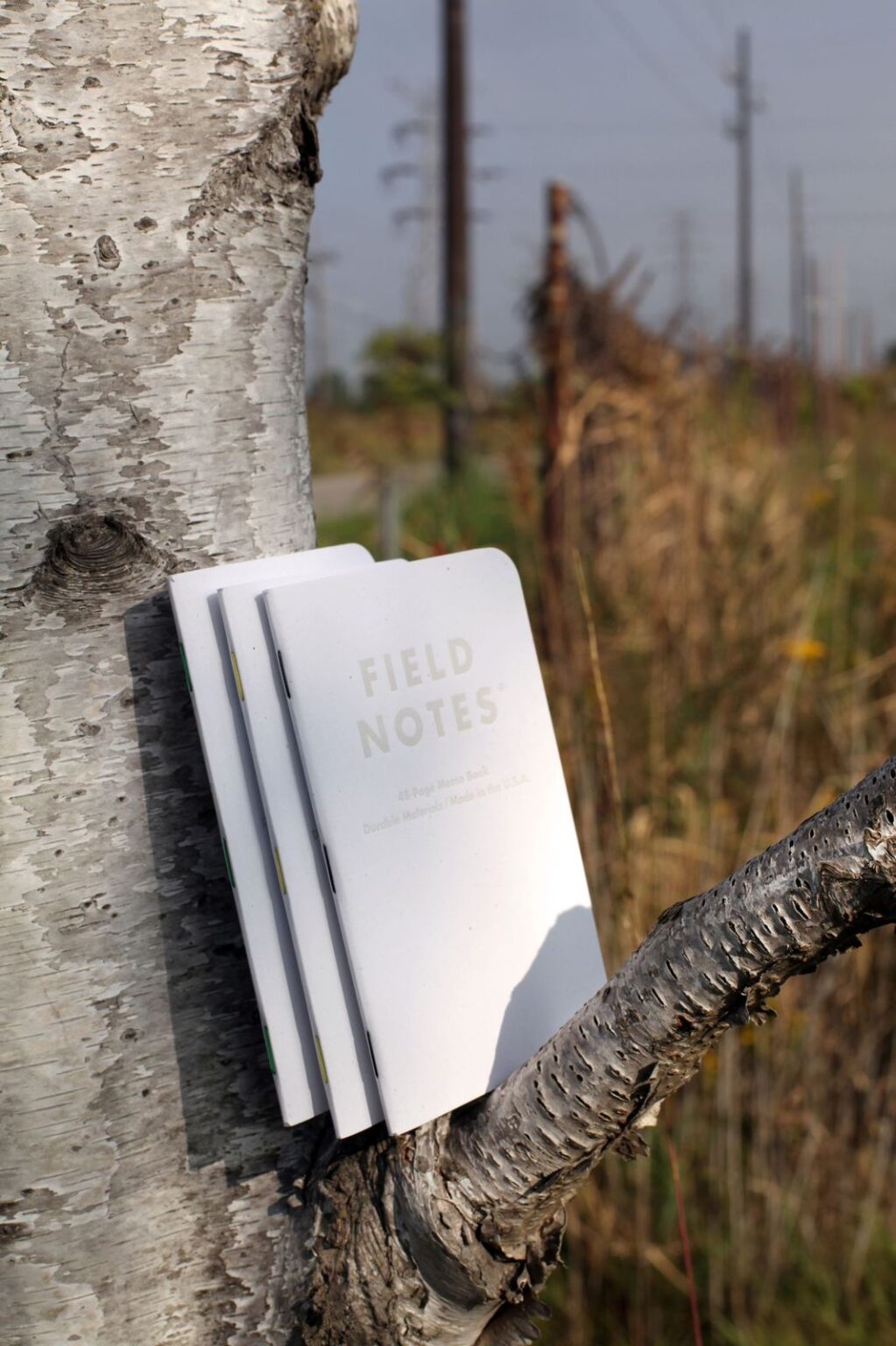 Field Notes Birch Bark Notebooks | The Coolector