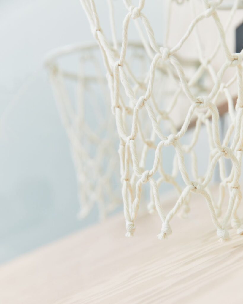 Reigning Champ Home Court Basketball Game | The Coolector