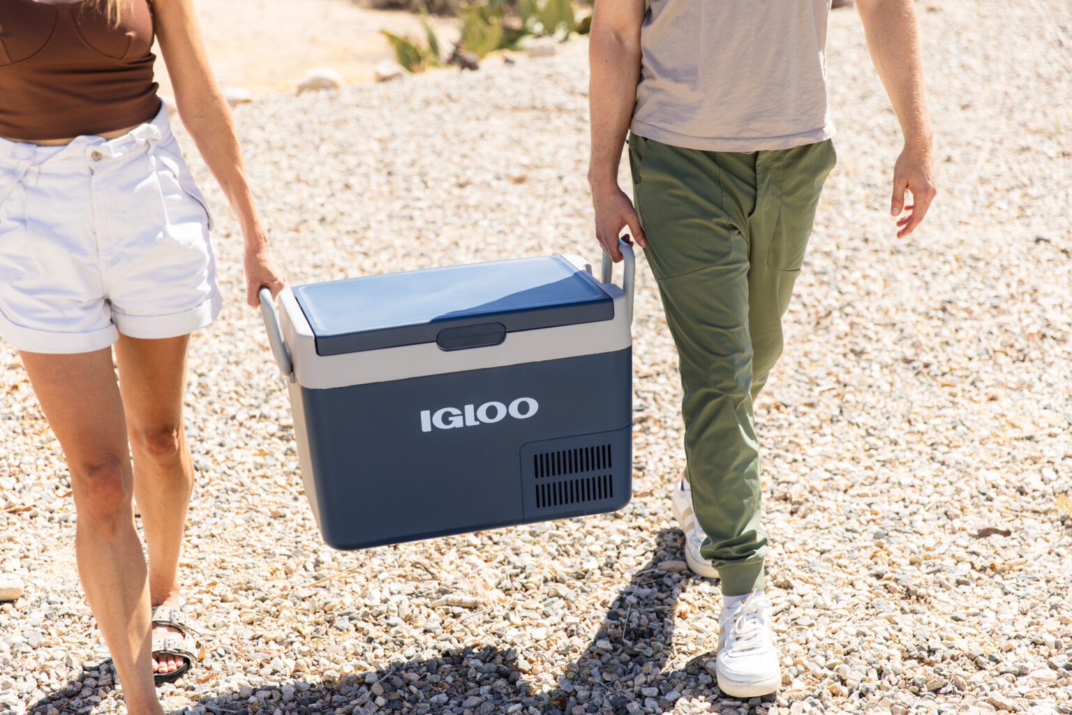 8 of the best coolers for summer adventures | The Coolector