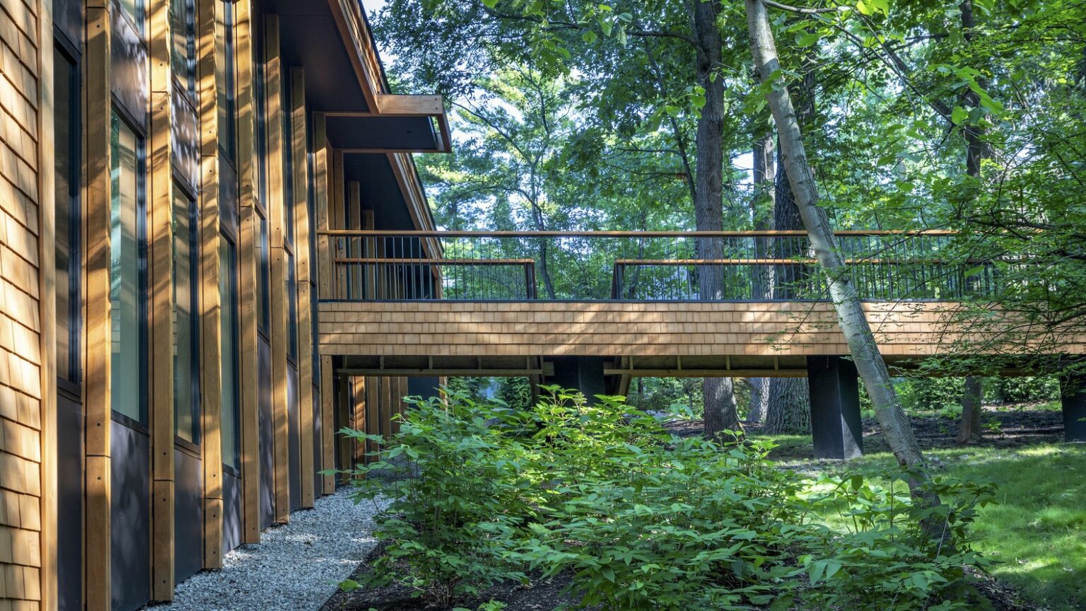 North Shore Residence: A Mid-Century Modern Revival | The Coolector