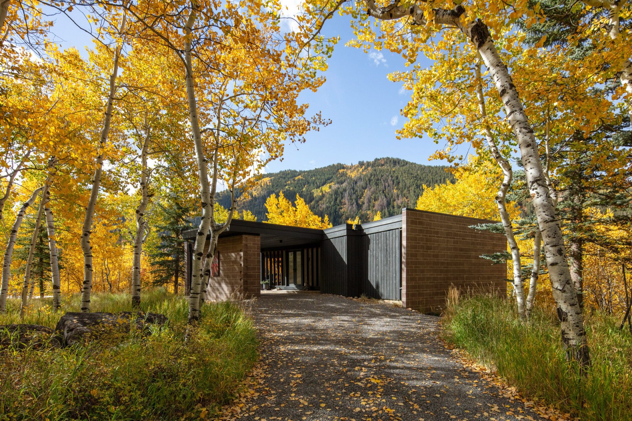 Design | The Coolector