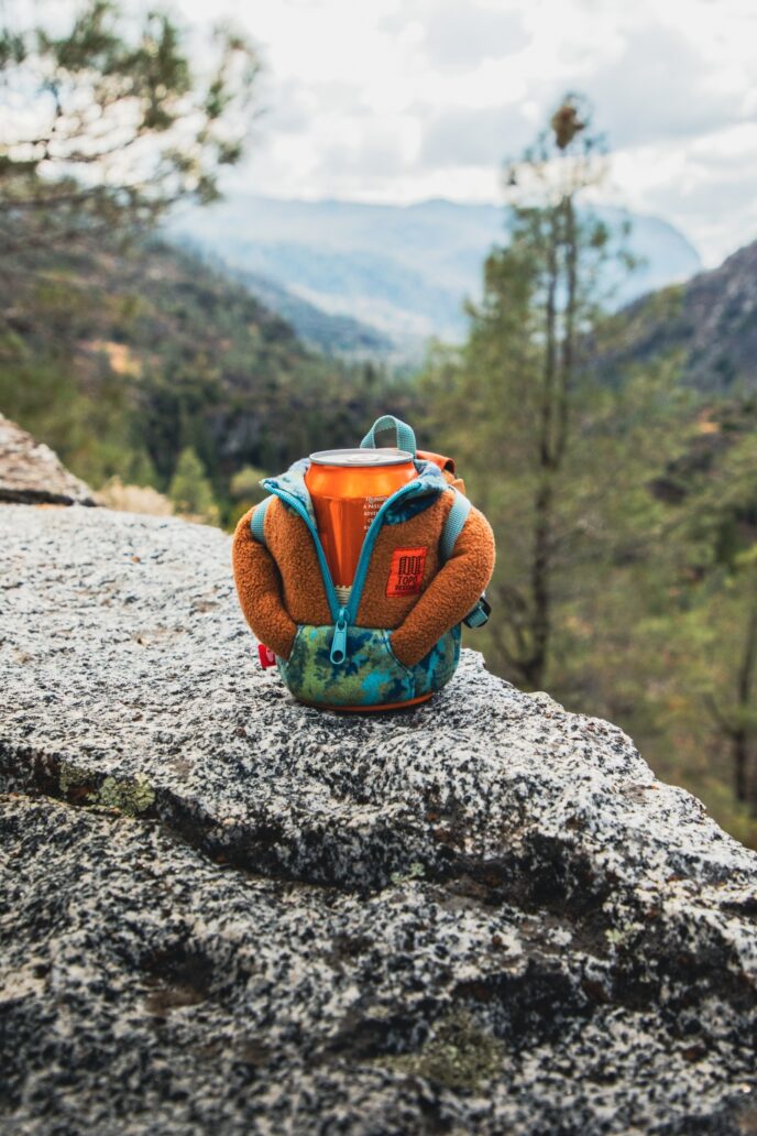 The Mini Me of the Mountain: The Puffin x Topo Designs Fleece ...