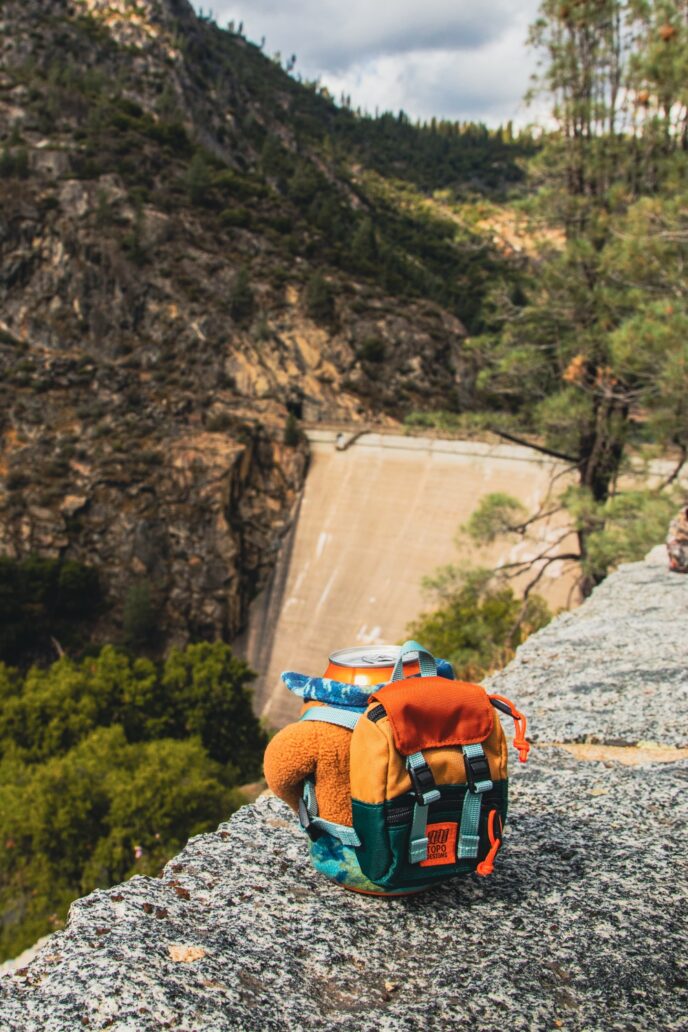 The Mini Me of the Mountain: The Puffin x Topo Designs Fleece ...