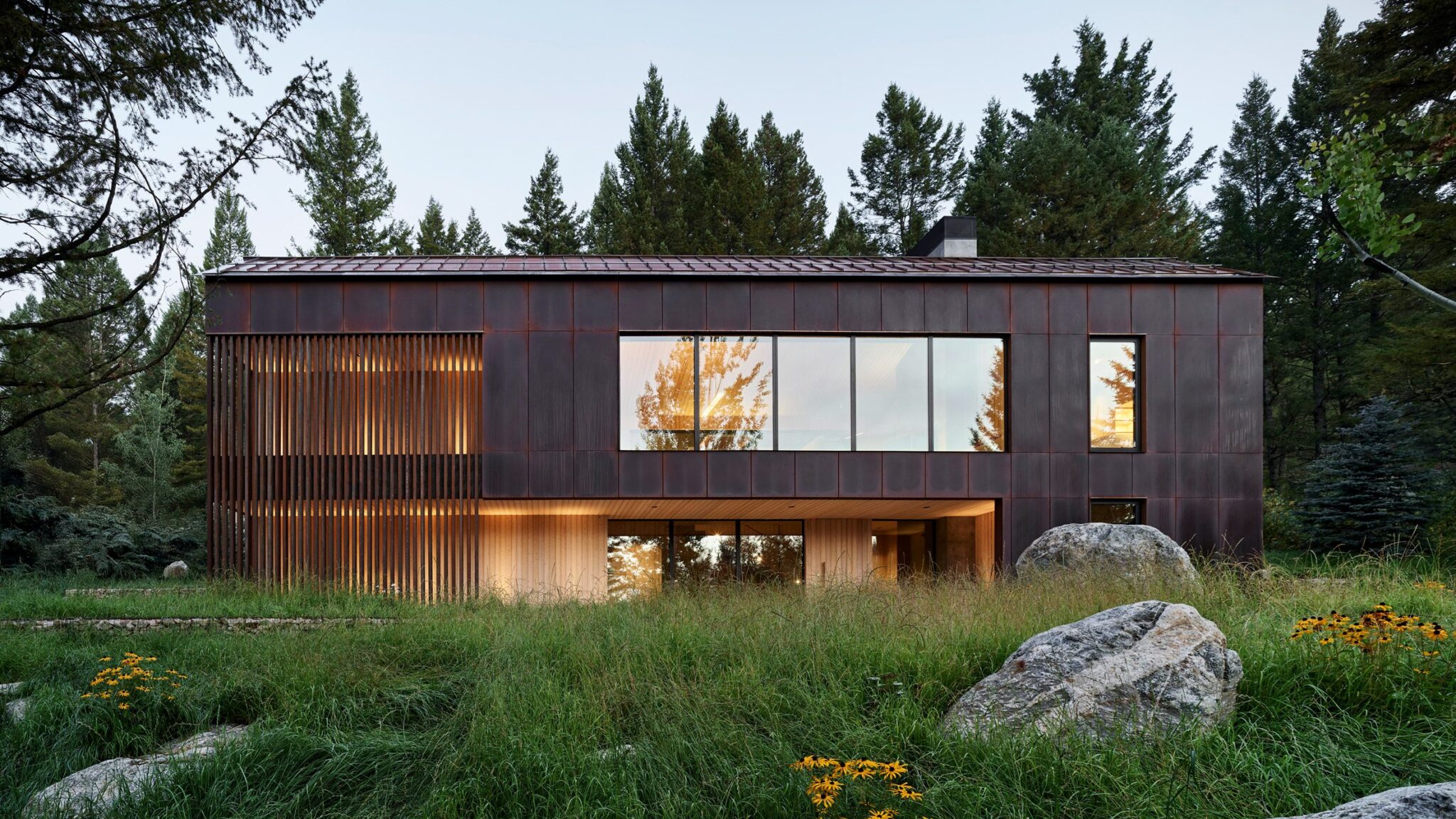 Design | The Coolector